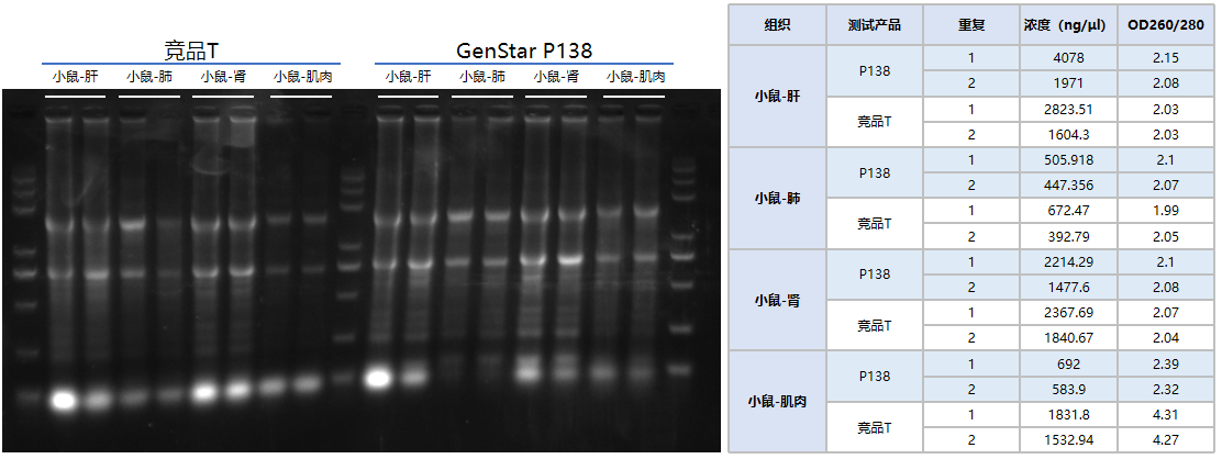 康润生物-Genstar